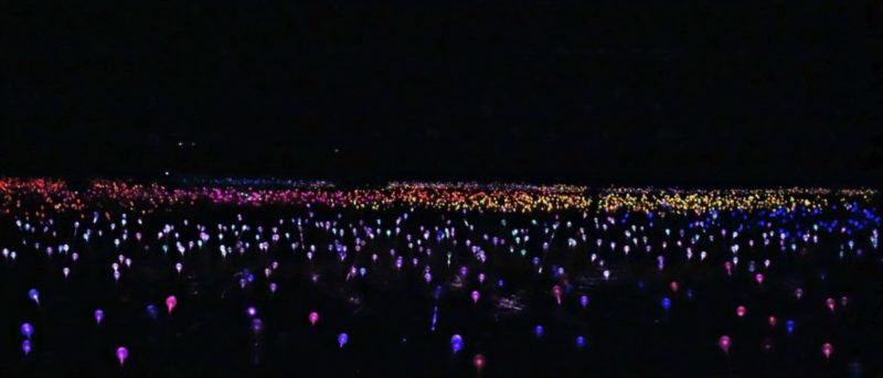 A Night at Field of Light Uluru review