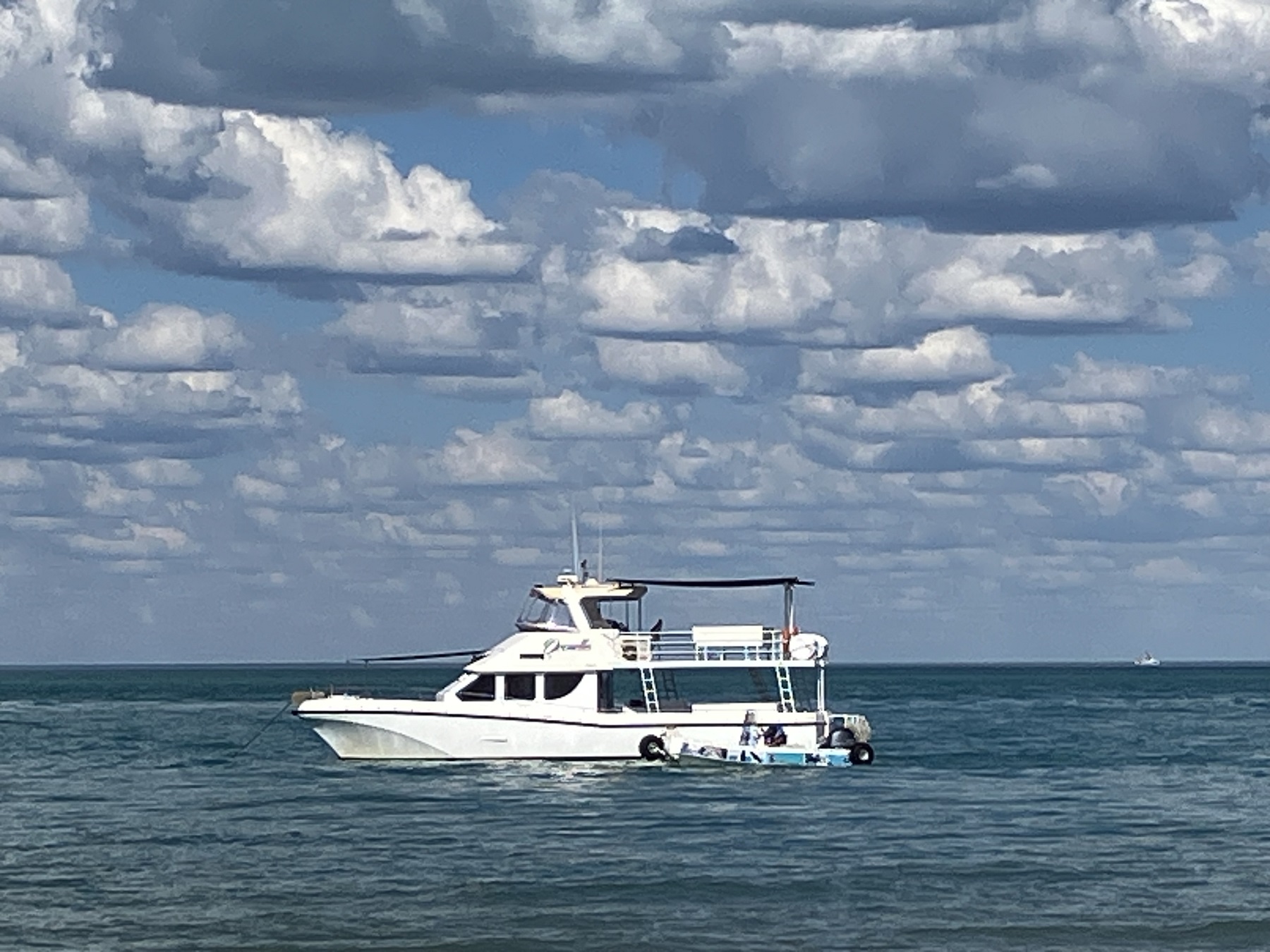In Search of Broome's famous Snubfin Dolphins - Travels With JB